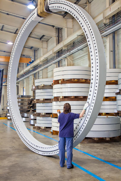 T.2.5 Blade bearings | Guide to an offshore wind farm